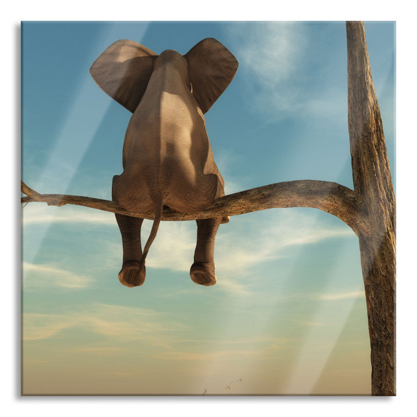 Brayden Studio Elefant On A Tree Branch In A Desert - No Frame Print on Glass | Wayfair.co.uk